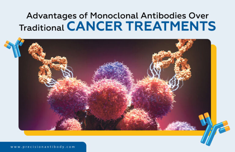 Monoclonal Antibodies: The Future of Cancer Treatment in 2024