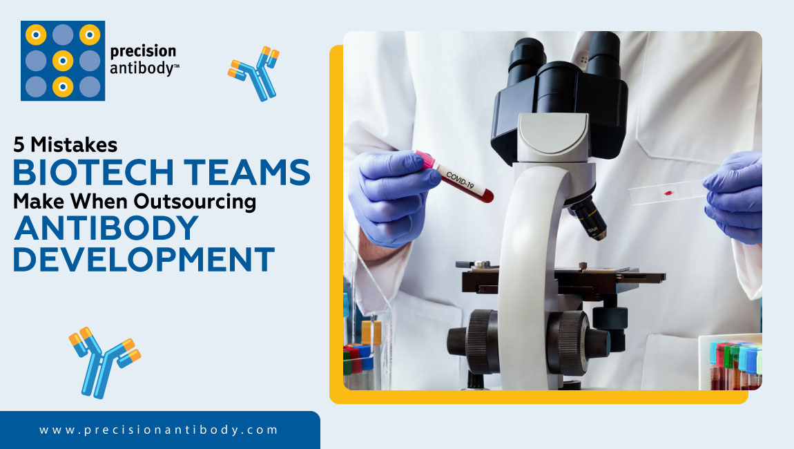 Outsourcing Antibody Development: Mistakes Biotech Teams Make